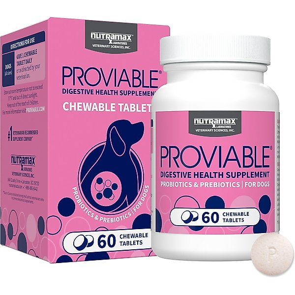 NUTRAMAX Proviable Probiotics Daily Digestive Health Chewable Tablet ...