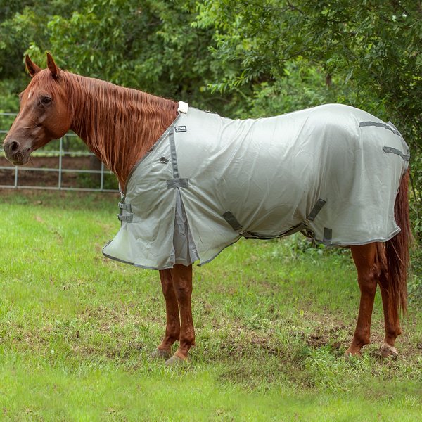 Out of Stock - TUFFRIDER Comfy Mesh Mini Horse Fly Sheet, Porcelain ...