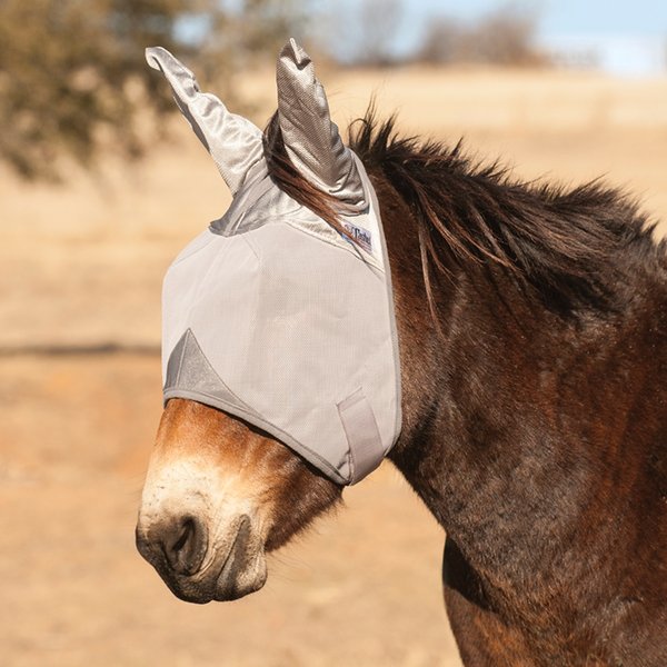 CASHEL Crusader Mule Fly Mask with Ears, Grey, Mule Foal - Chewy.com