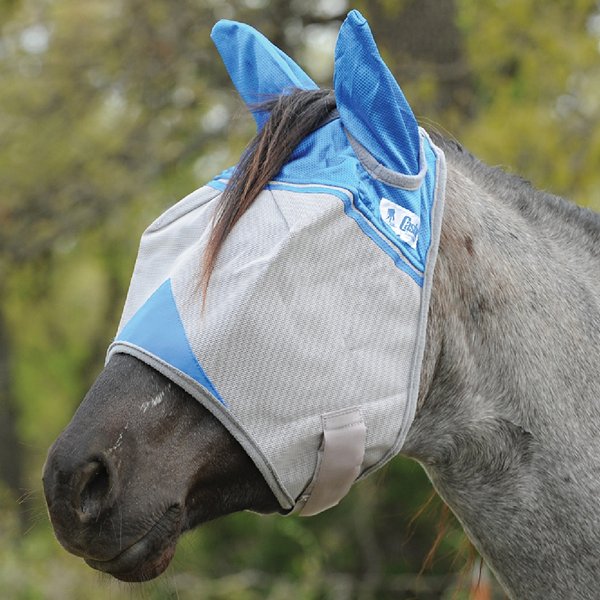 CASHEL Crusader Horse Fly Mask with Ears, Blue, Warmblood - Chewy.com