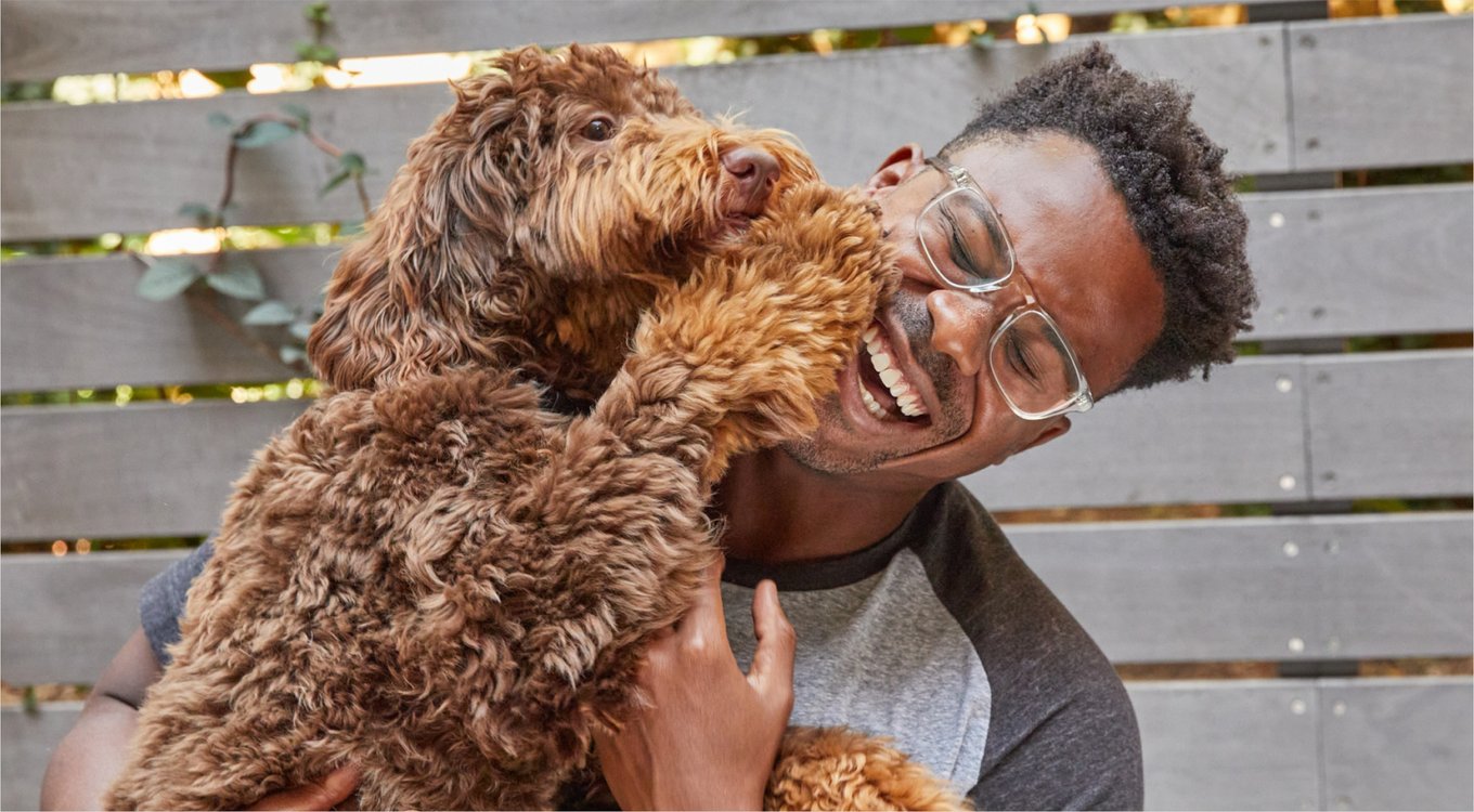 PETPLATE FreshBaked Beef Gently Baked & Air-Dried Human-Grade Dog Food ...