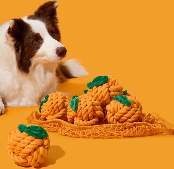VETRESKA Tangerine Knot Rope Dog Toy - Chewy.com