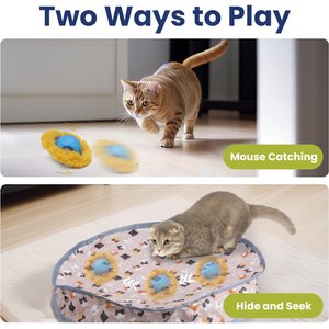 9 Best Moving Cat Toys 2025: According to Reviews | Chewy
