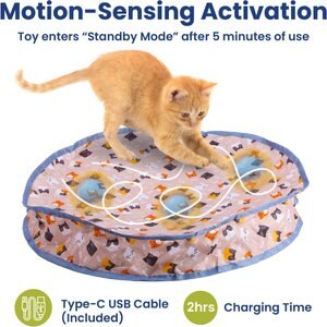 9 Best Moving Cat Toys 2025: According to Reviews | Chewy