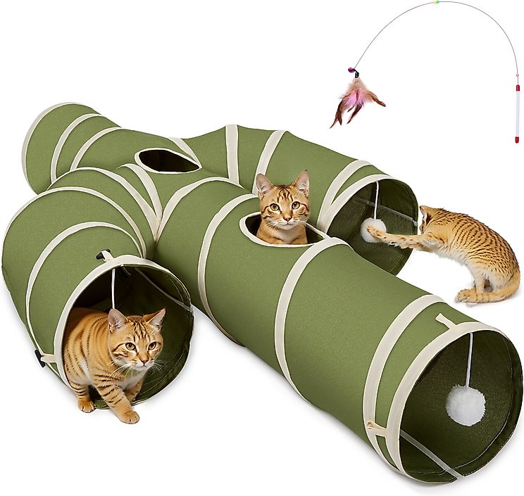 New Arrivals in Cat Toys - Free shipping | Chewy