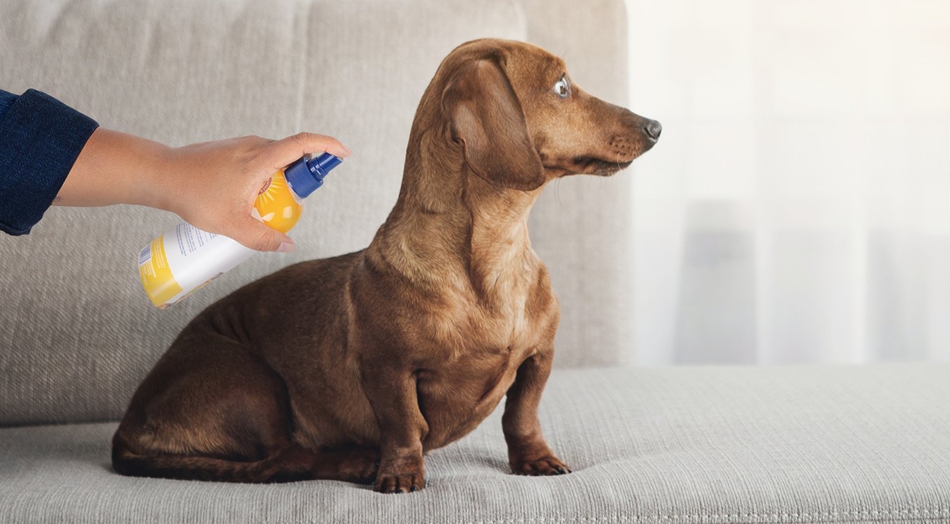 ARM & HAMMER PRODUCTS Pet Fresh Eucalyptus Mint Deodorizing Scented Gel ...