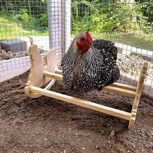 BACKYARD BARNYARD Chicken Bird Perch Rocker - Chewy.com