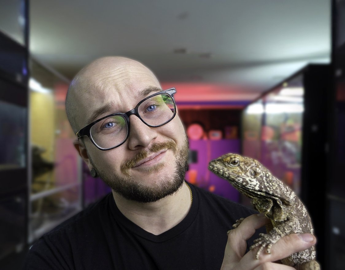 Wickens Wicked Reptiles Chewy Storefront - Free shipping | Chewy