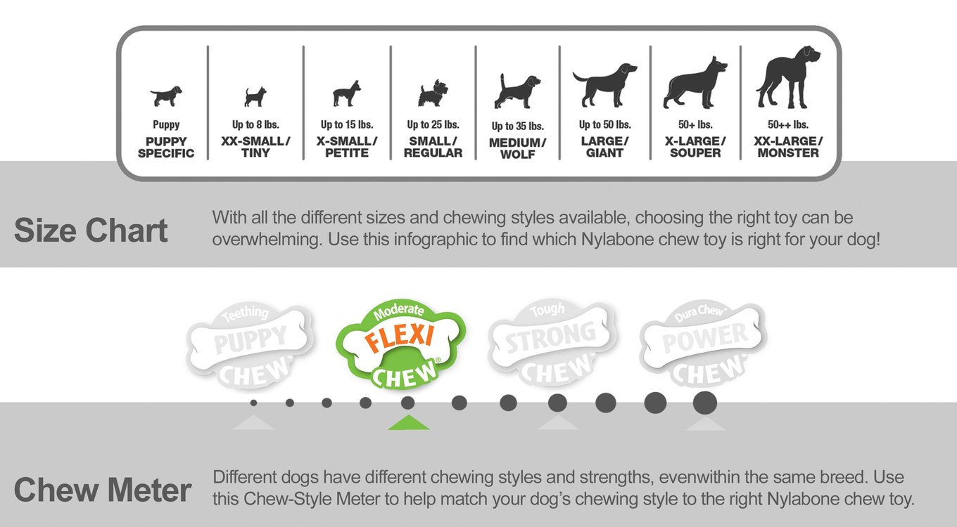 NYLABONE Chill & Chew Freezer Chicken Flavored Dog Chew Toy, Medium ...