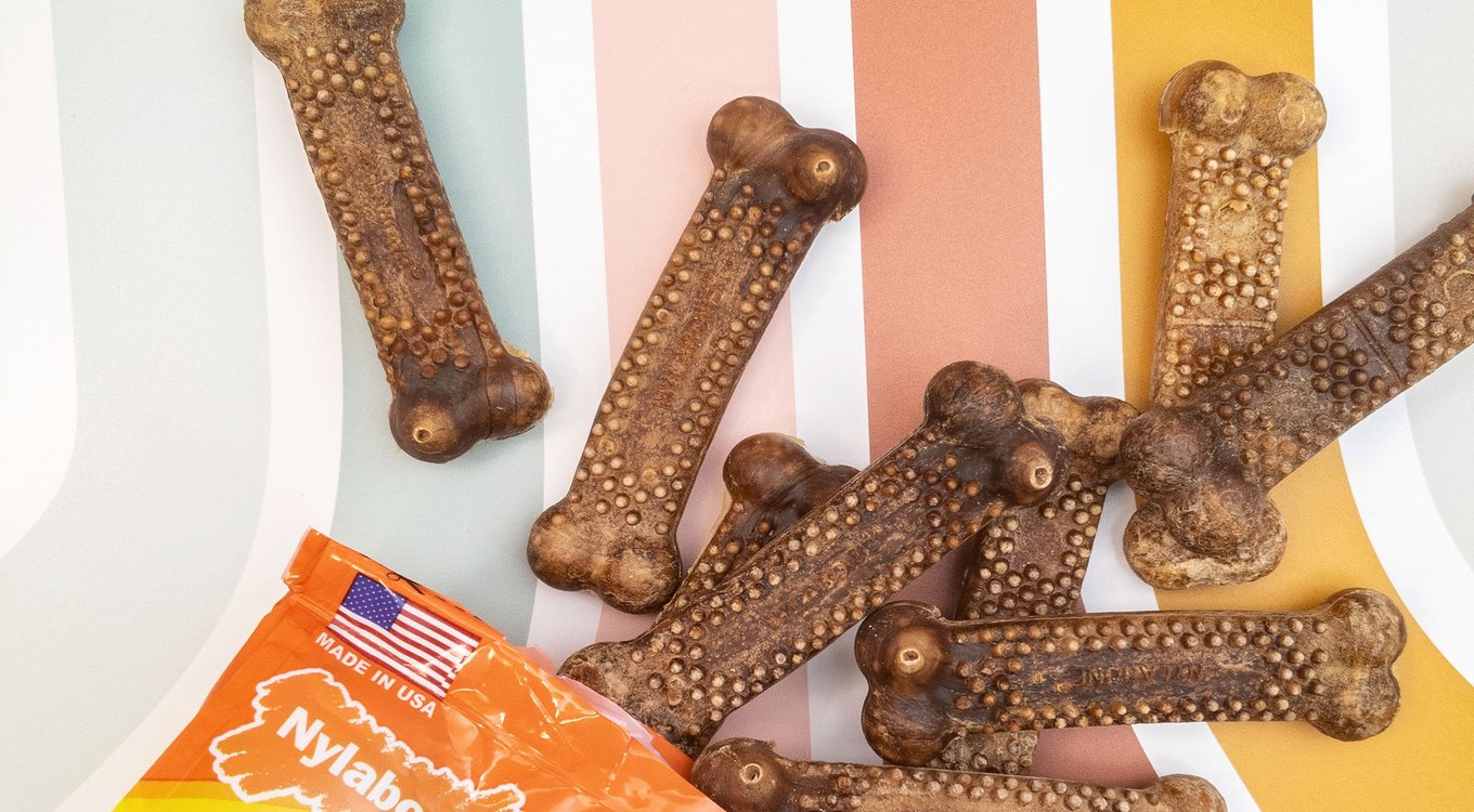 NYLABONE Natural Nubz Chicken Dog Treat, 36 count - Chewy.com