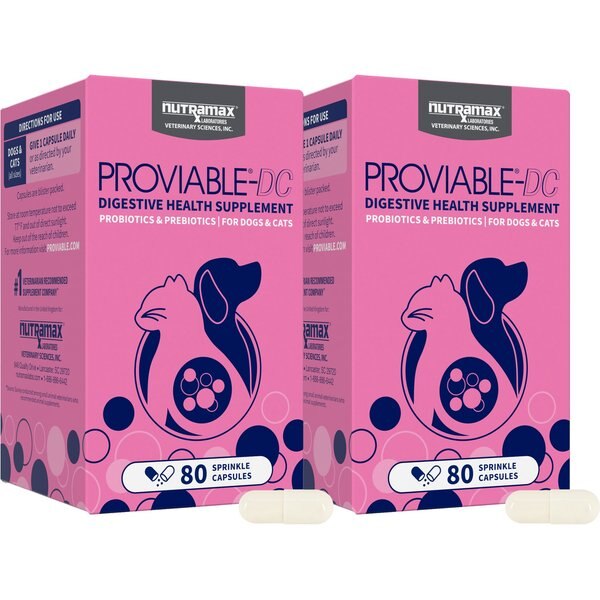NUTRAMAX Proviable Probiotics & Prebiotics Digestive Health Supplement ...