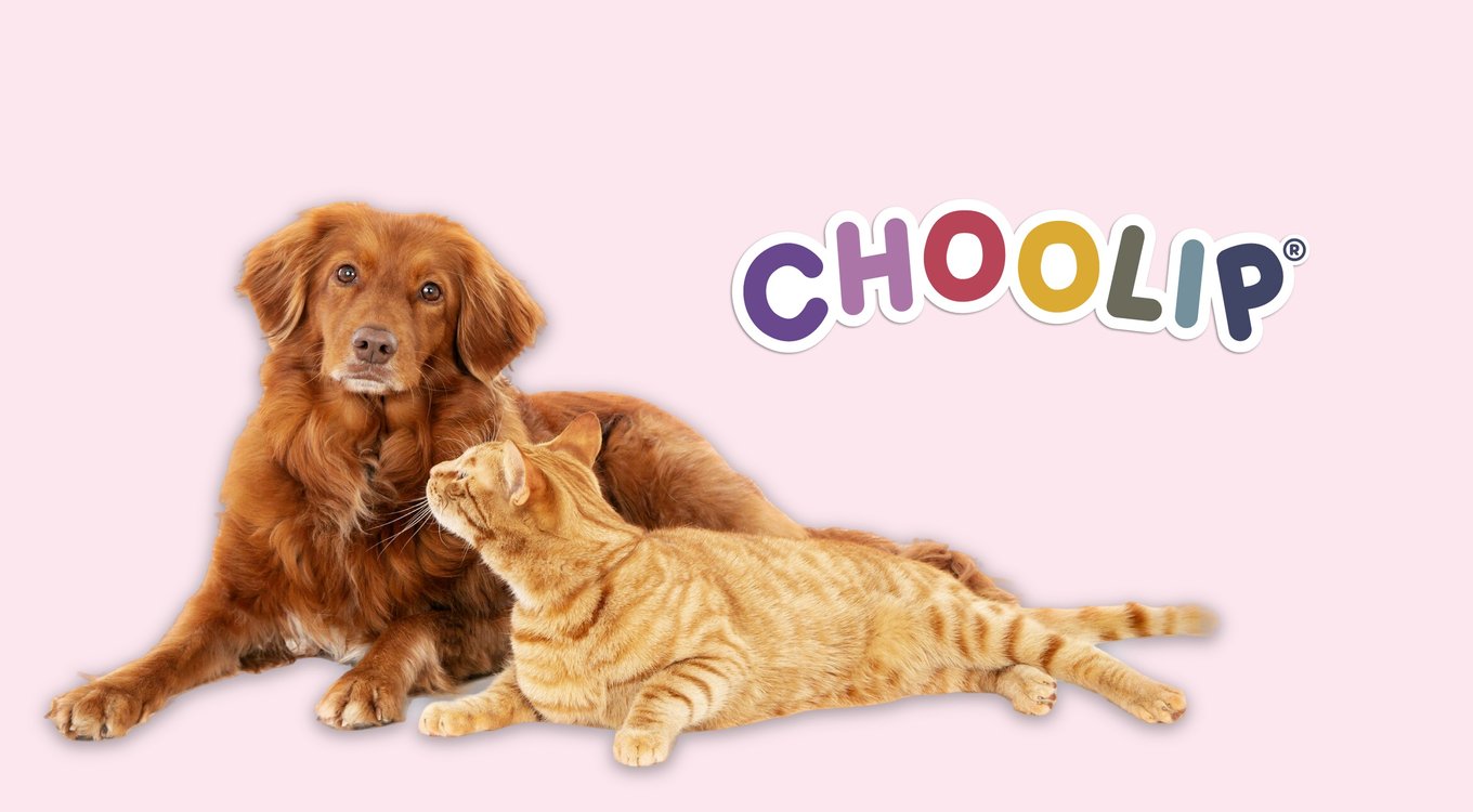 CHOOLIP Squeeze Vita Stick Kidney Support Lickable Dog & Cat Treats, 3. ...