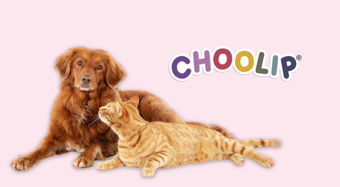 CHOOLIP Squeeze Vita Stick Grab n Go Joints Support Lickable Dog & Cat ...