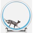 Out of Stock - ONE FAST CAT Gen 7 Cat Exercise Wheel, White with Koi ...