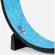 ONE FAST CAT Gen 7 Cat Exercise Wheel, Black with Koi Pond Foam Pads ...