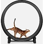 ONE FAST CAT Gen 7 Cat Exercise Wheel, Black with Black Felt Pads ...