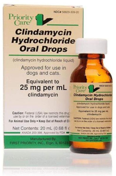 CLINDAMYCIN HCl (Generic) Oral Drops for Dogs & Cats, 25 mg/mL, 20-mL ...