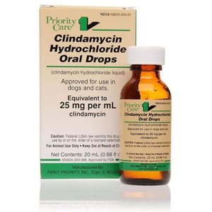 Amoxi-Drop (Amoxicillin) Oral Suspension for Dogs & Cats, 50-mg, 15-mL ...