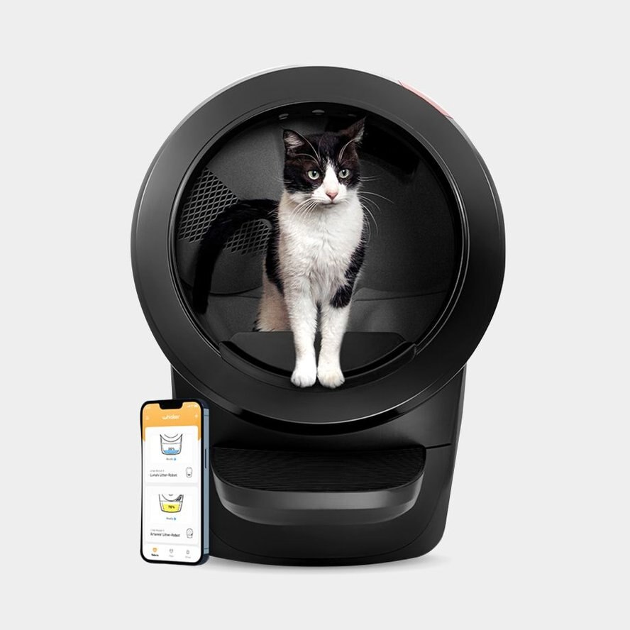 Cat Supplies: Cat Accessories & Products (Free Shipping) | Chewy