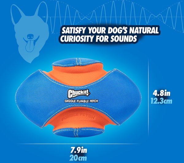 CHUCKIT! Giggle Fumble Fetch Dog Toy, Blue, Small - Chewy.com