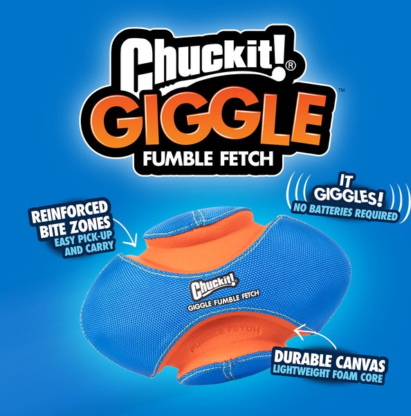 CHUCKIT! Giggle Fumble Fetch Dog Toy, Blue, Small - Chewy.com