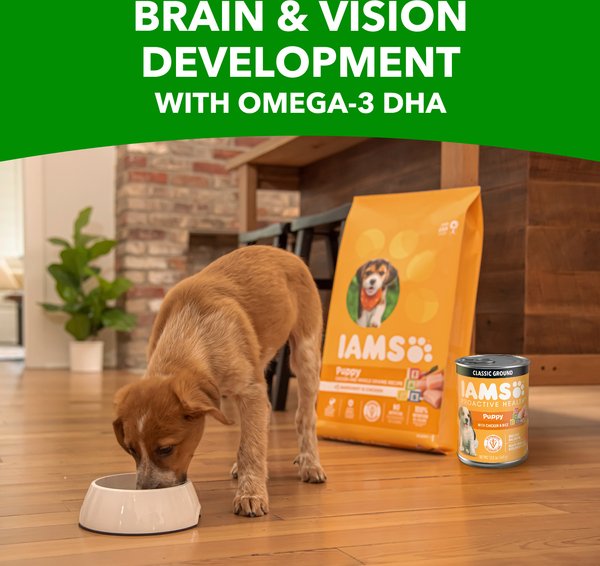 IAMS ProActive Health Classic Ground with Chicken & Rice Puppy Canned ...