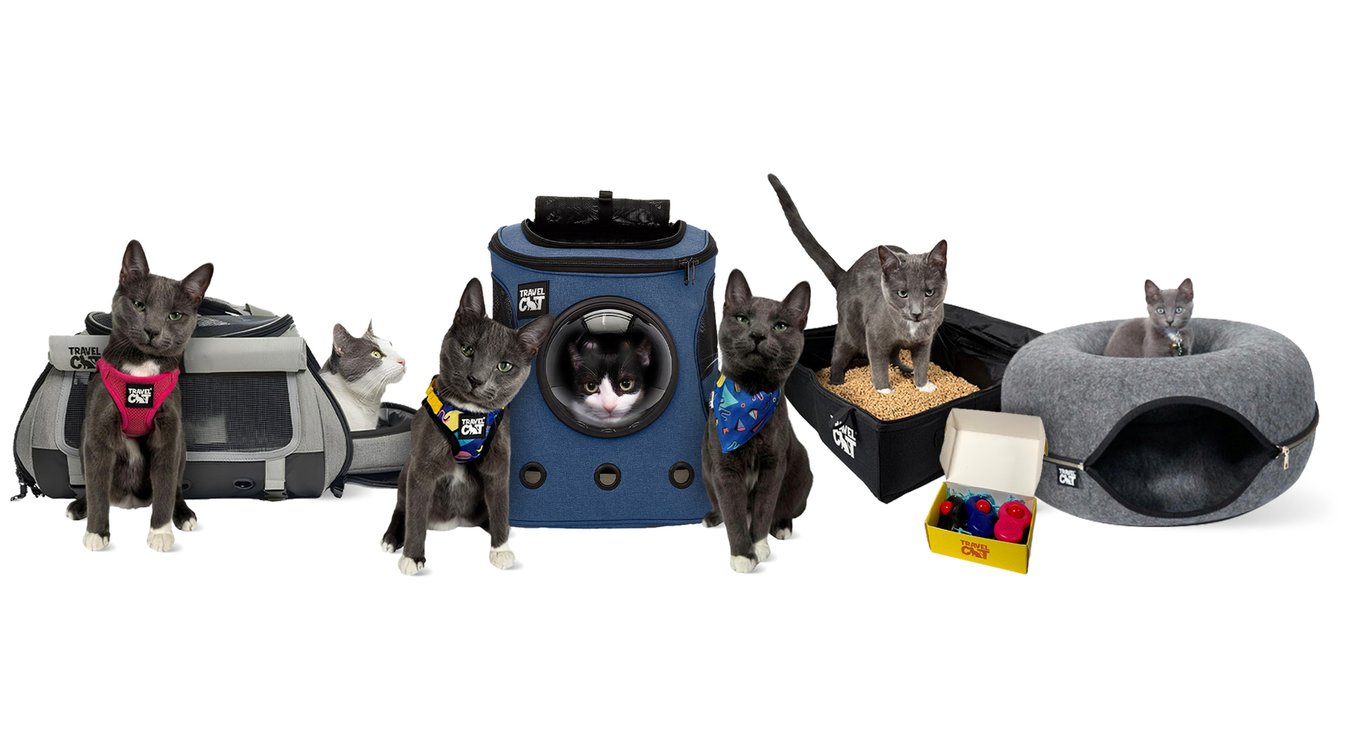 TRAVEL CAT Donut Cat Hideaway Cave & Scratcher Cat Bed, Grey - Chewy.com