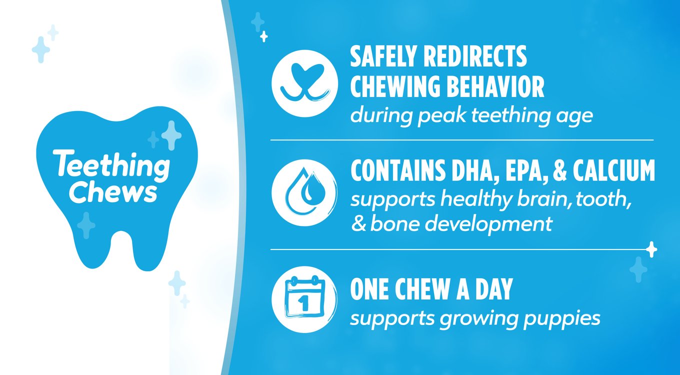 DENTALIFE Chicken Flavored Puppy Teething Dental Chews, 19 count ...