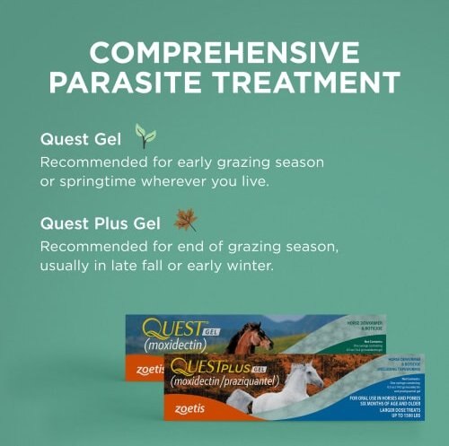 QUEST Gel Moxidectin Dewormer & Boticide for Horses & Ponies, 10 count ...