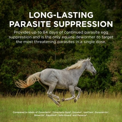 QUEST Gel Dewormer & Boticide for Horses & Ponies, 0.5-fl oz syringe ...