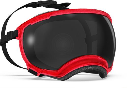 Discontinued - REX SPECS V2 Dog Goggles, Volcano Red, Large - Chewy.com