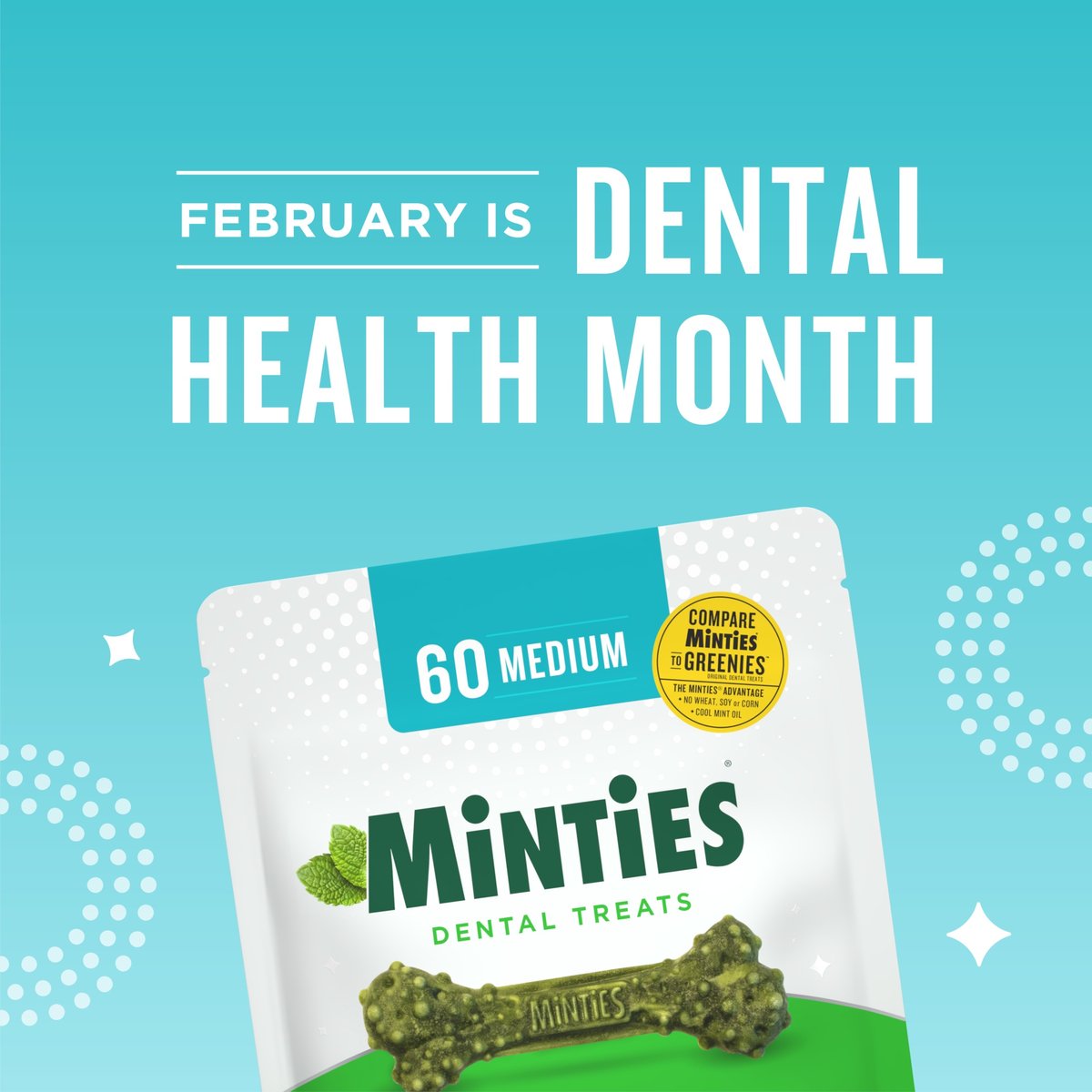 MINTIES Medium Mint Flavored Dental Treats for Dogs, 25-50 lbs, 6.4-oz ...