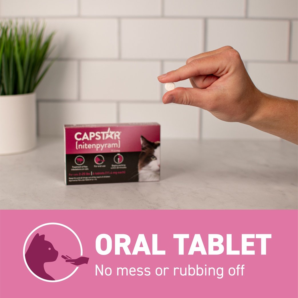 CAPSTAR Flea Oral Treatment for Cats, 2-25 lbs, 6 Tablets - Chewy.com