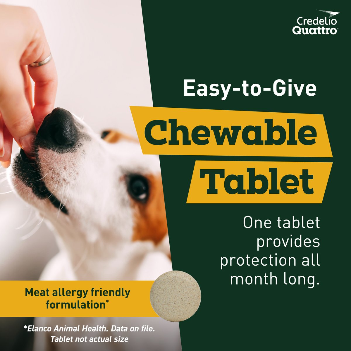 CREDELIO QUATTRO Chewable Tablets for Dogs, 6.1-12 lbs, 1 Chewable (1 ...