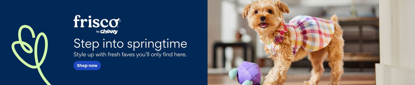 Pet Food, Products, Supplies at Low Prices - Free Shipping | Chewy.com