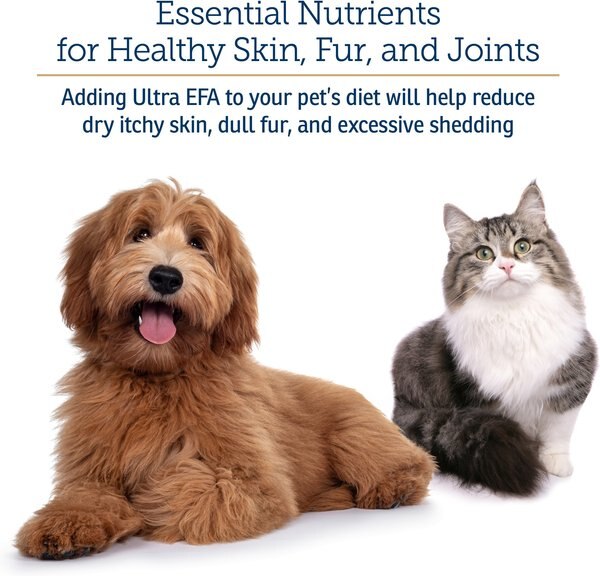 RX VITAMINS Ultra EFA Liquid Skin & Coat Supplement for Cats & Dogs, 16 ...