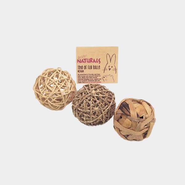 Rabbit Supplies & Accessories | Chewy