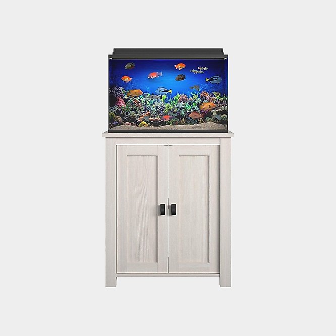 Fish Tanks & Aquariums | Chewy