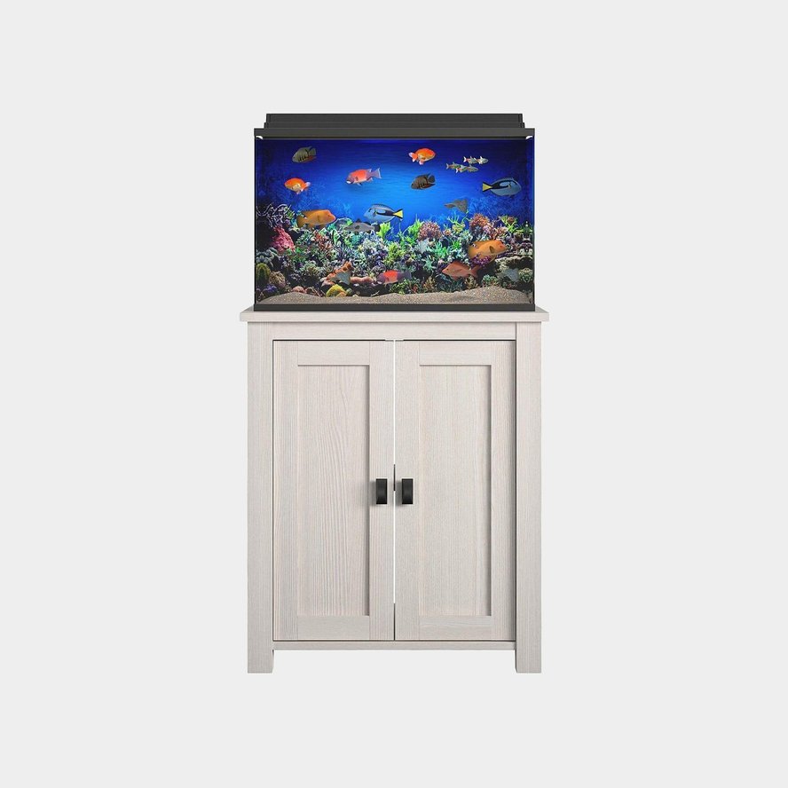 Fish Tanks & Aquariums | Chewy