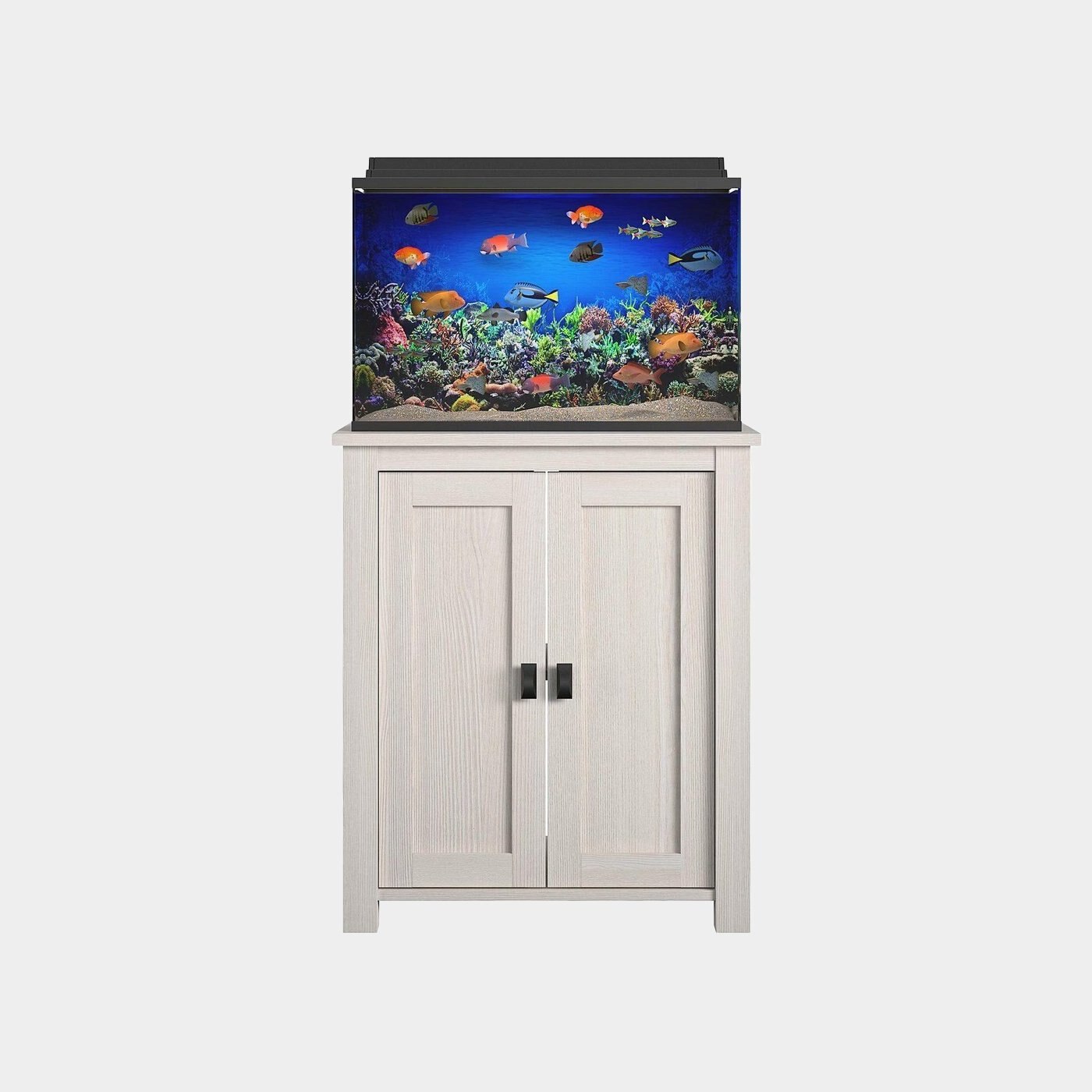 Fish Tanks & Aquariums | Chewy