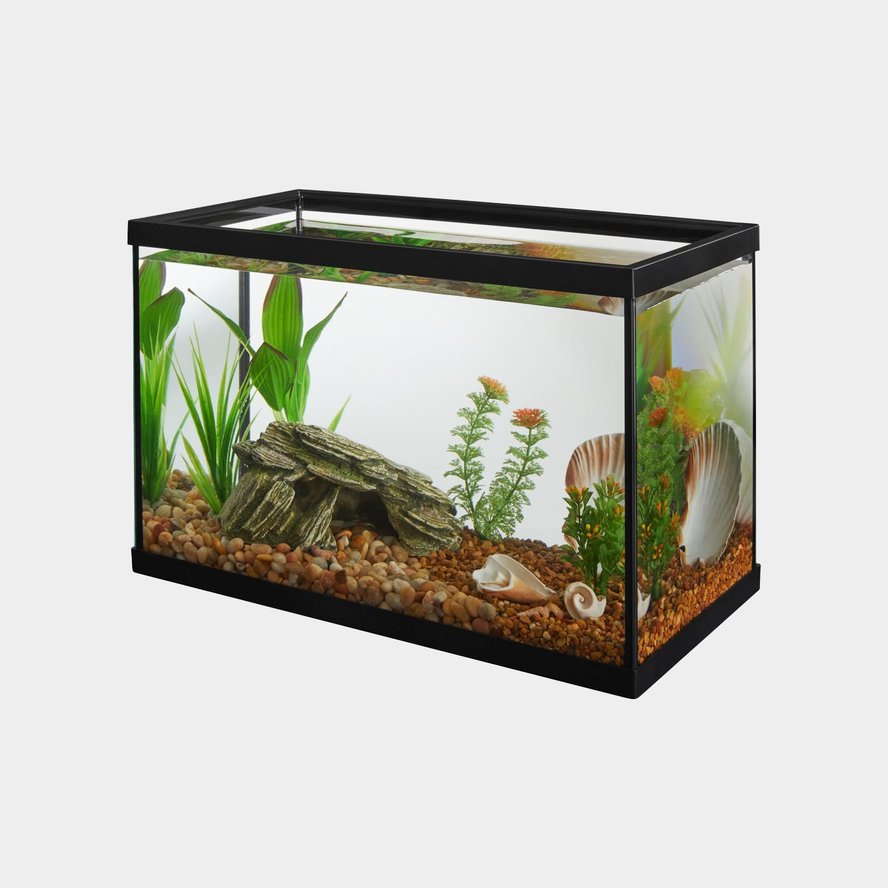 Fish Tanks & Aquariums | Chewy