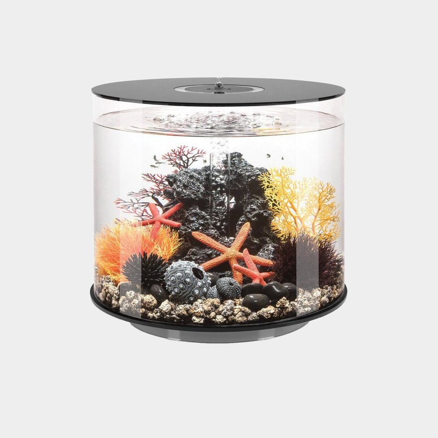 Fish Tanks & Aquariums | Chewy