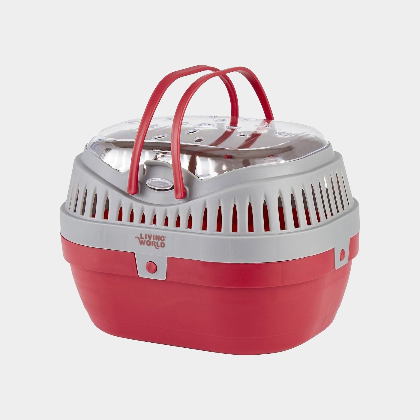 Rat Supplies & Accessories | Chewy