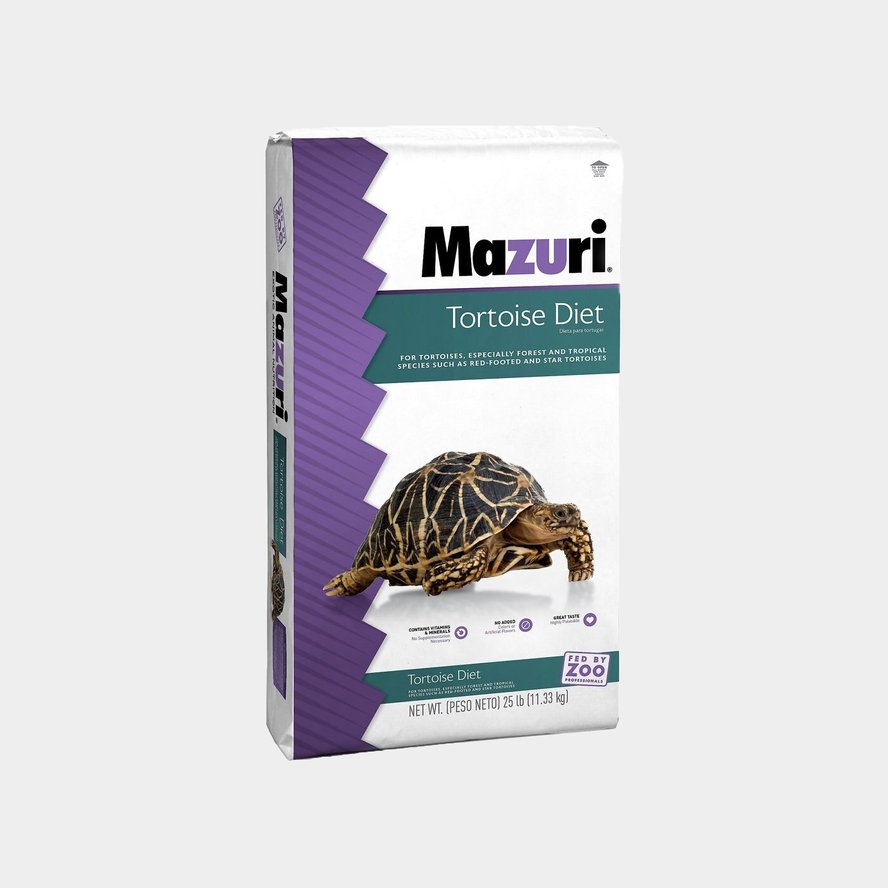 Tortoise Supplies & Accessories | Chewy