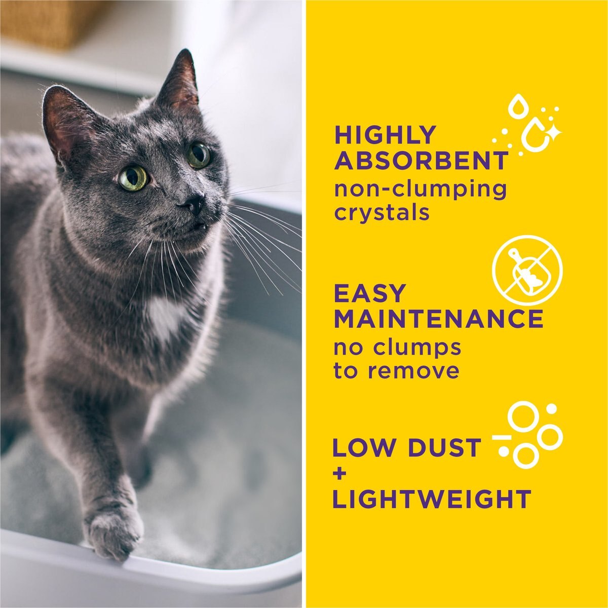 TIDY CATS Tidy Care Alert Health Monitoring Unscented Non-Clumping Cat ...