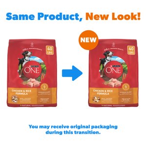 10 Best Budget Dog Foods 2025: According to Reviews | Chewy