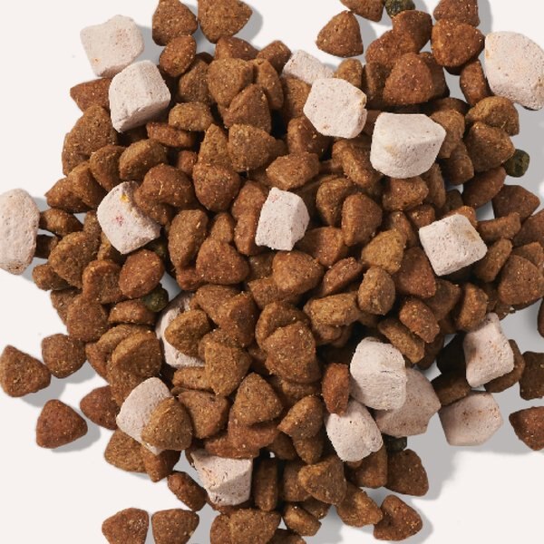 HECKOVA! Chonky Chicken Complete Meal Raw Freeze-Dried Dog Food, 8-oz ...