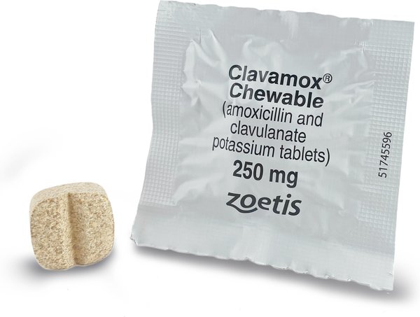 CLAVAMOX (Amoxicillin / Clavulanate Potassium) Chewable Tablets for Dogs & Cats, 250-mg - Easy ...