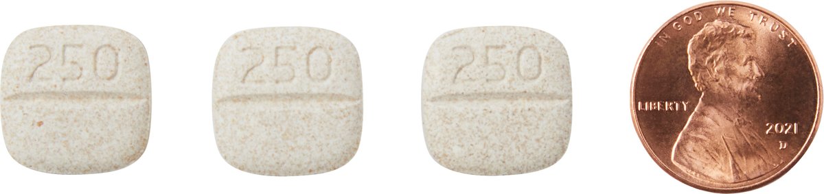 CLAVAMOX (Amoxicillin / Clavulanate Potassium) Chewable Tablets for Dogs & Cats, 250-mg, 1 ...