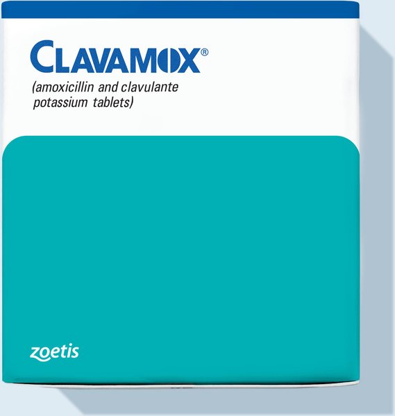 CLAVAMOX (Amoxicillin / Clavulanate Potassium) Chewable Tablets for Dogs & Cats, 250-mg - Easy ...